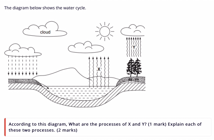The diagram below shows the water cycle. According to… - SolvedLib