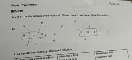 SOLVED: Chapter 7 Worksheet Enira A. Diffusion 1. Use arrows to indicate the direction of ...