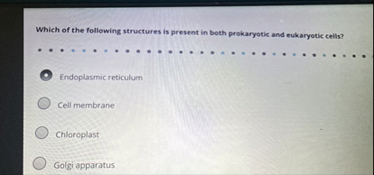 SOLVED: Which of the following structures is present in both prokaryotic and eukaryotic cells ...