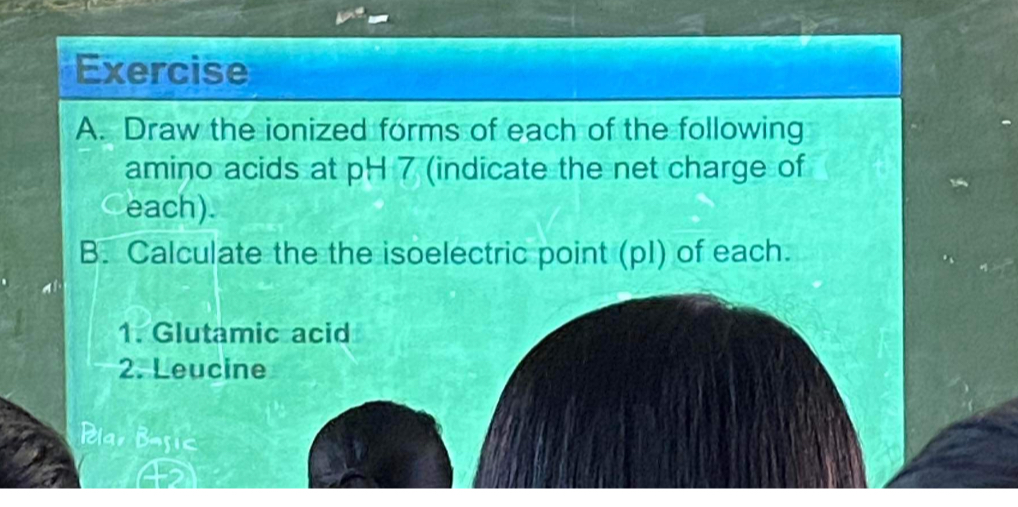 SOLVED: Exercise A. Draw the ionized forms of each of the following ...