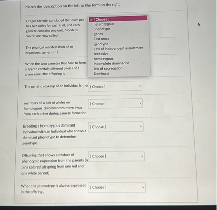 SOLVED: Match the description on the left to the term on the right ...