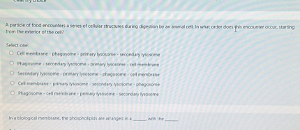 A particle of food encounters a series of cellalar structures during ...