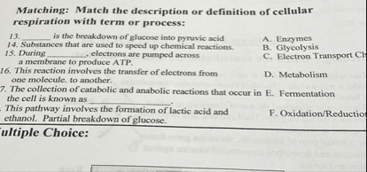 Matching: Match the description or definition of cellular respiration ...
