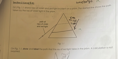 SOLVED: Section 2(level3i-4): QII Flg. 1.1 shaws rovs of vilat and red ...