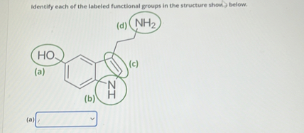 Identify each of the labeled functional groups in the structure show. below. (a)