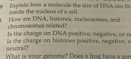 9 Explain how a molecule the size of DNA can fit inside the nucleus of ...