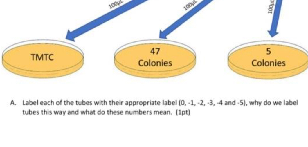 a label each of the tubes with their appropriate label 0 1 2 3 4 and 5 ...