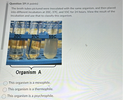 Question 19 (4 points) The broth tubes pictured were inoculated with ...