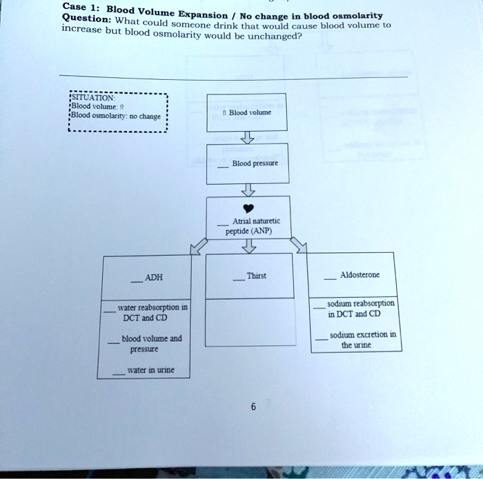 SOLVED: SITUATION: Blood volume: Blood osmolarity: no change Blood ...