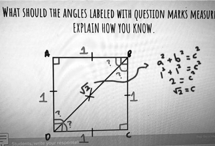 WHAT SHOULD THE ANGLES LABELED WITH QUESTION MARKS MEASURE EXPLAIN HOW ...