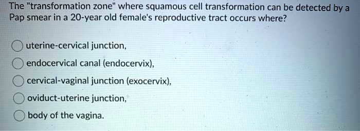 SOLVED:The "transformation zone" where squamous cell transformation can ...