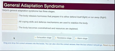 general adaptation syndrome selyes general adaptation syndrome has ...