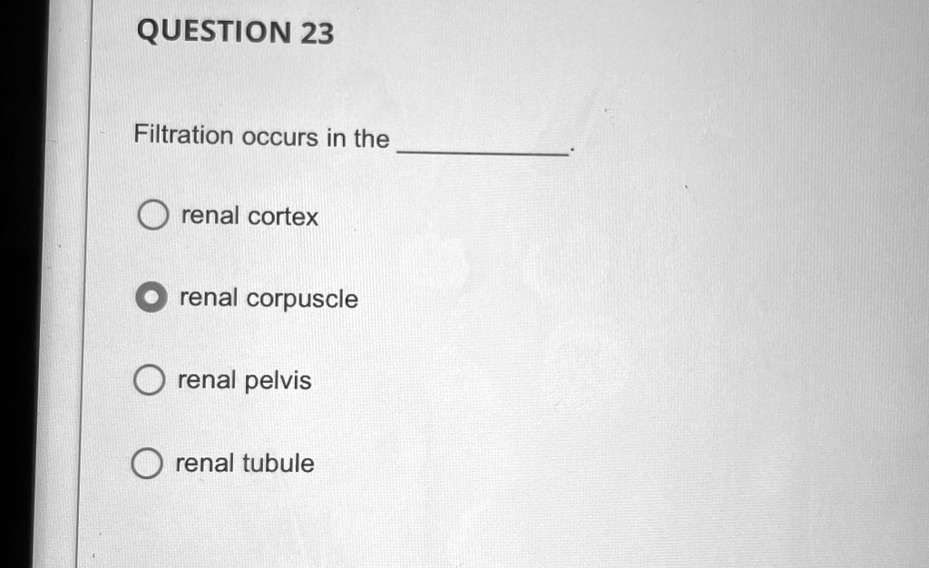 question 23 filtration occurs in the renal cortex renal corpuscle renal pelvis renal tubule ...