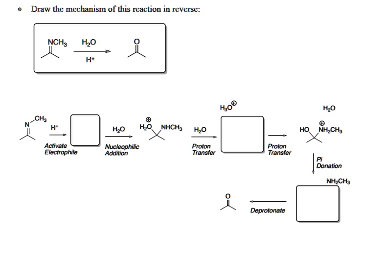 SOLVED: Draw the mechanism of this reaction in reverse: H2O H2SO4 H2O ...