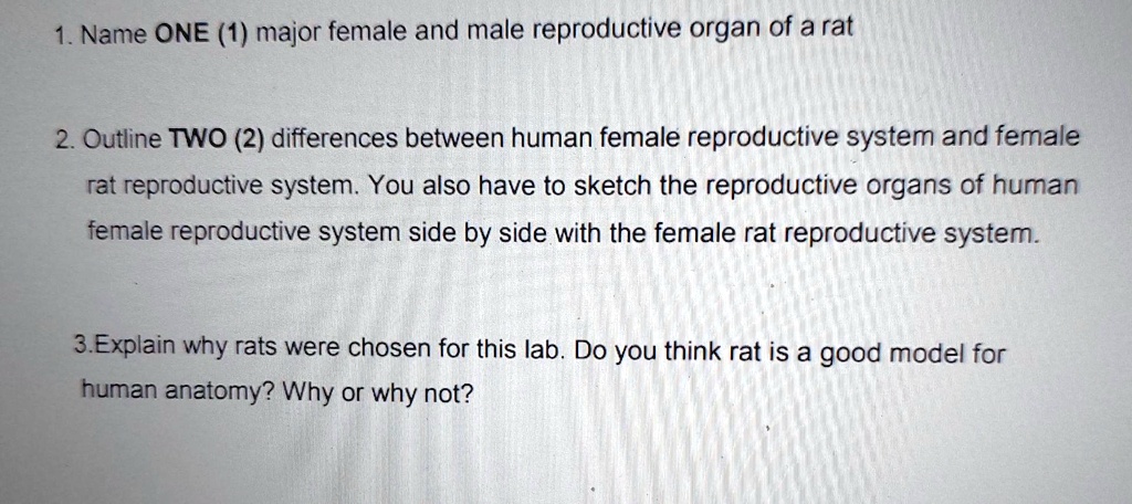 SOLVED: 1. Name ONE (1) major female and male reproductive organ of a ...