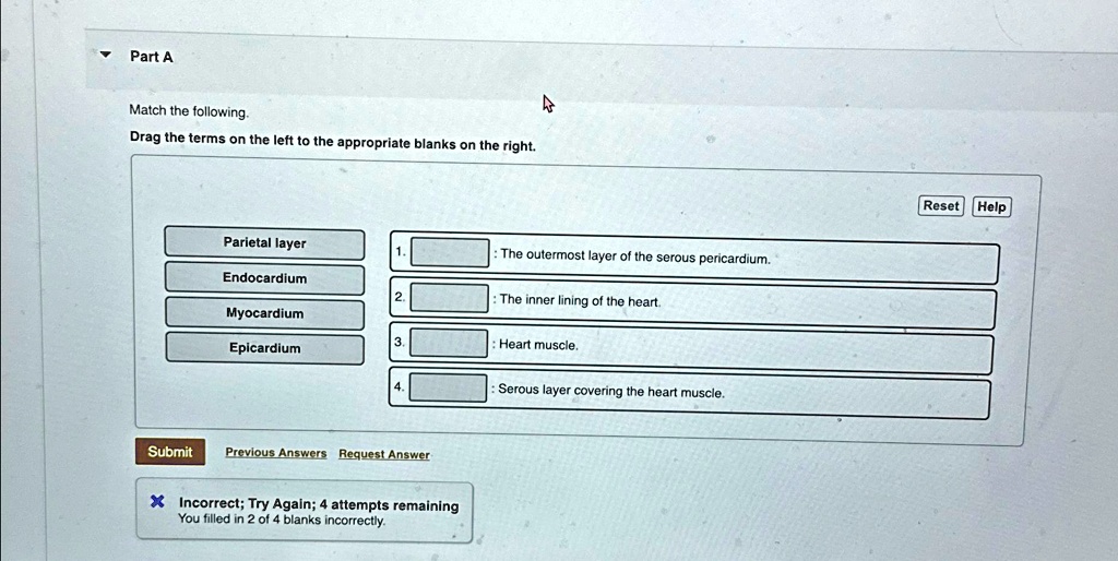 SOLVED: Part A Match the following. Drag the terms on the left to the ...