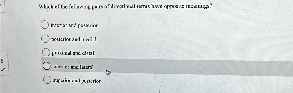 Which of the following pairs of directional terms have opposite ...