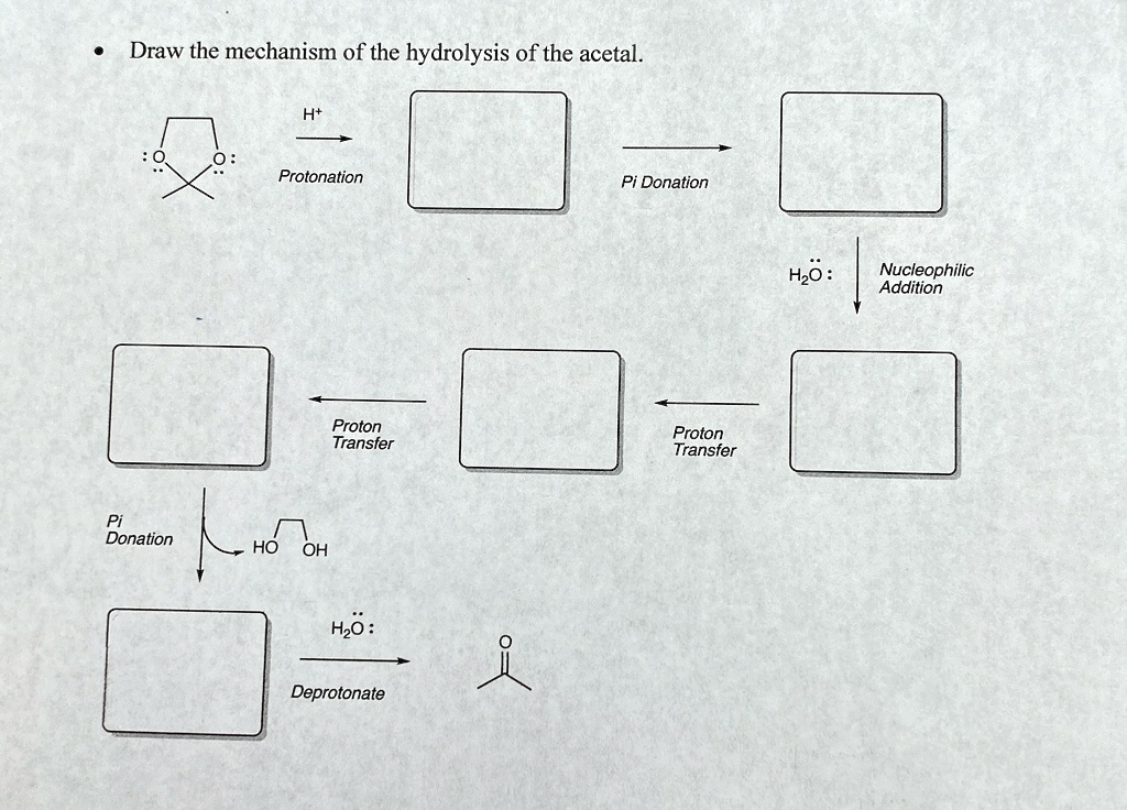 Draw the mechanism of the hydrolysis of the acetal. H+ 0 0: Protonation ...