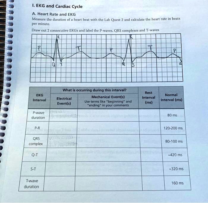 SOLVED: What is occurring during this interval? EKG and Cardiac Cycle A ...