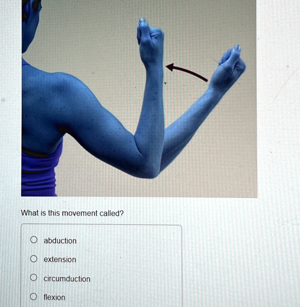 What is this movement called? abduction extension circumduction flexion ...