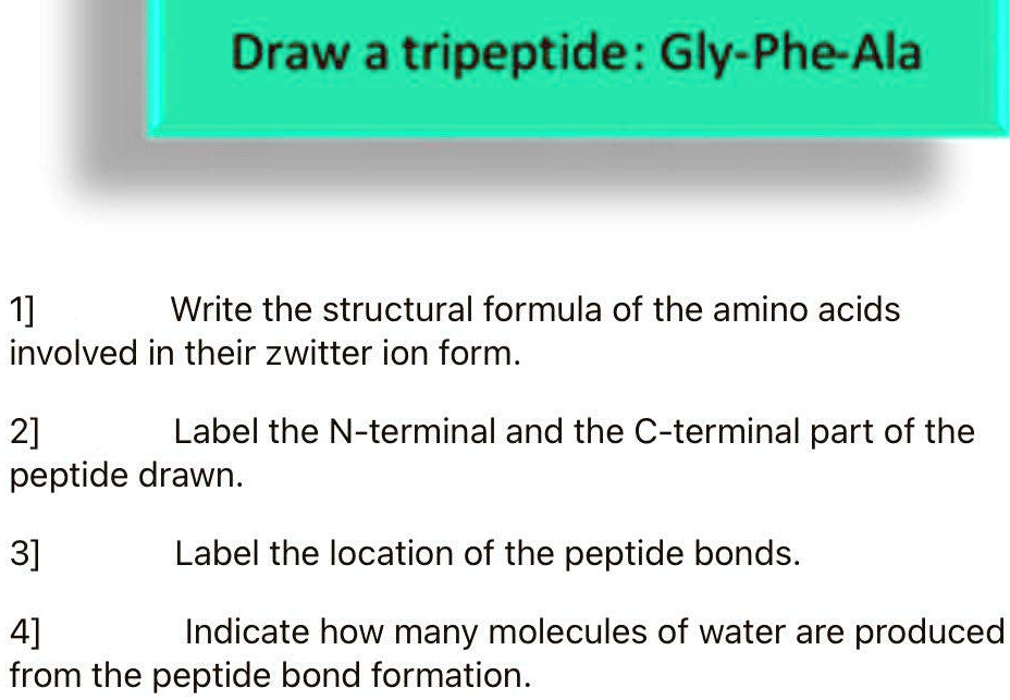 SOLVED: Draw a tripeptide: Gly-Phe-Ala 1] Write the structural formula ...