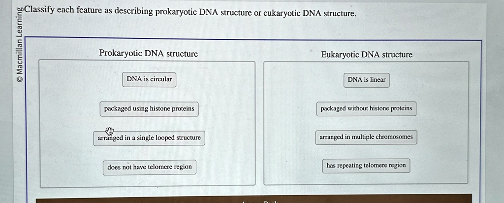 classify each feature as describing prokaryotic dna structure or ...
