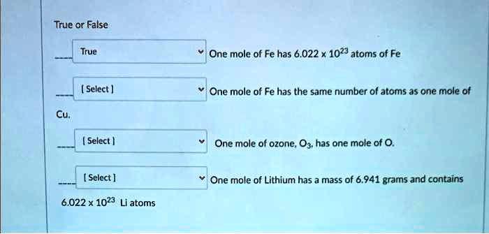 SOLVED: True or False True One mole of Fe has 022 x 1023 atoms of Fe ...