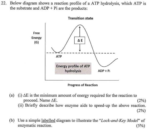[GET ANSWER] 22. Below diagram shows a reaction profile of a ATP ...