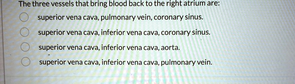 the three vessels that bring blood back to the right atrium are superior vena cava pulmonary ...