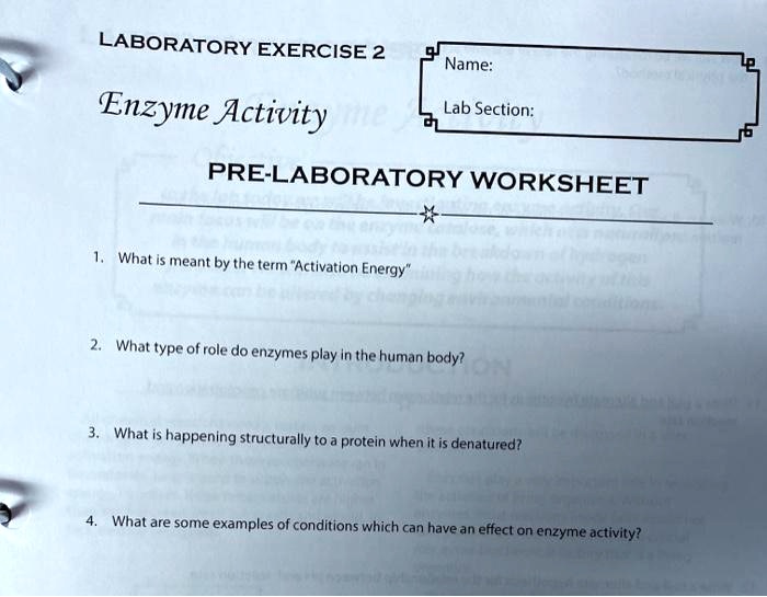 laboratory exercise 2 name enzyme activity lab section pre laboratory ...