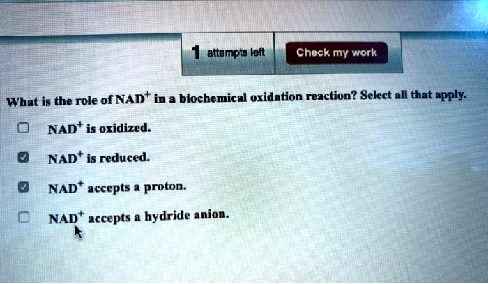 SOLVED: attempts Ieft Check My work What is the role of NADt in ...