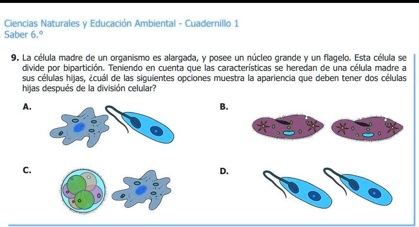 Solved Me Pueden Ayudar Con Esto Xfa Hay Que Justificar La Respuesta