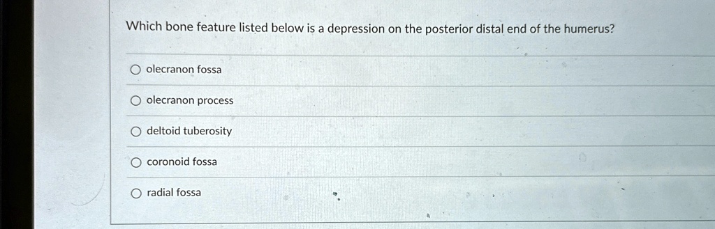Which bone feature listed below is a depression on the posterior distal ...