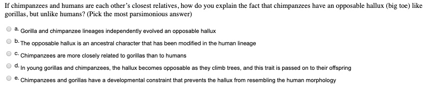 if chimpanzees and humans are each other closest relatives how do you ...