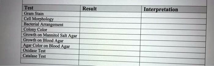 test result gram stain cell morphology bactcrial arrangement colony ...