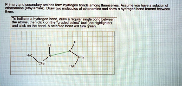 SOLVED: Primary and secondary amines fomm hydrogen bonds among ...
