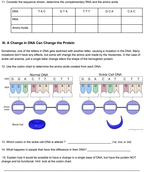 Consider the sequence shown to determine the complementary RNA and the ...