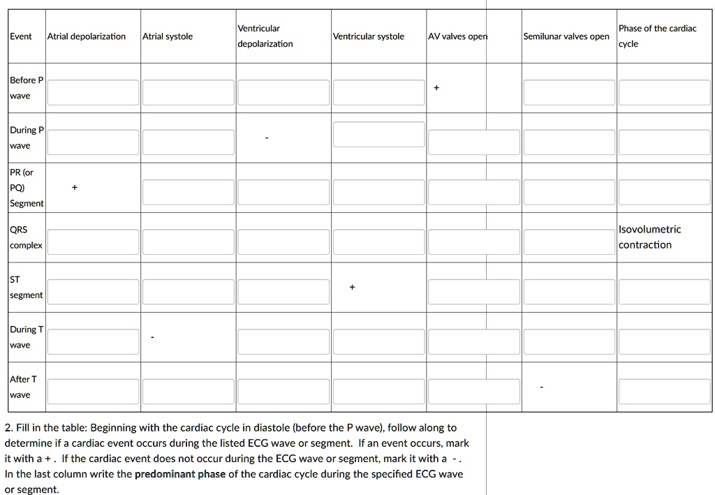 Ventricular Event Atrial depolarization Atrial systole Ventricular ...