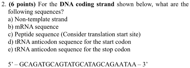 SOLVED: 2. (6 points) For the DNA coding strand shown below; what are ...
