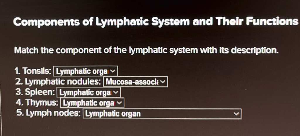 Components of Lymphatic System and Their Functions Match the component ...