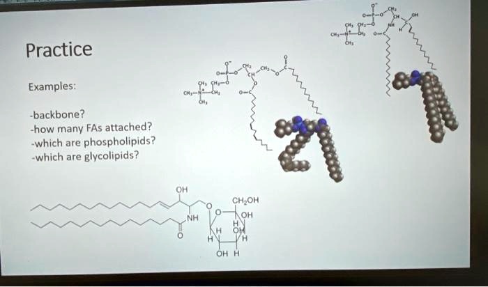 Practice Examples: -backbone? -how many FAs attached? -which are phospholipids? -which are ...