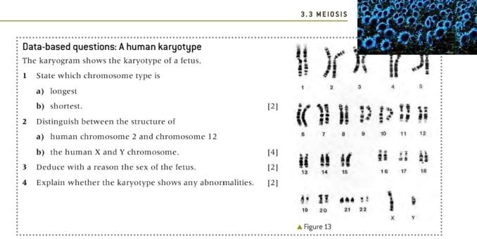 Data-based questions: A human karyotype The karyogram shows the ...