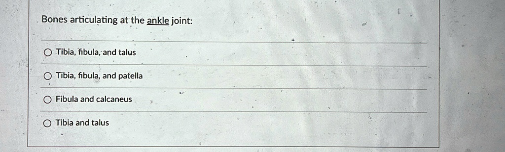 Bones articulating at the ankle joint: Tibia, fibula, and talus Tibia ...