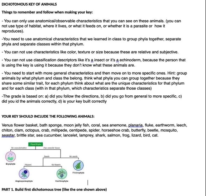 Build a Dichotomous Tree DICHOTOMOUS KEY OF ANIMALS Things to remember ...