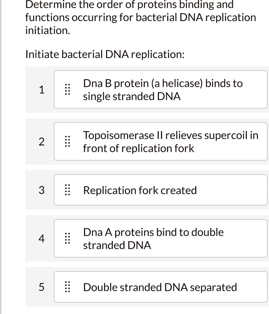 SOLVED: Determine the order of proteins binding and functions occurring for bacterial DNA ...