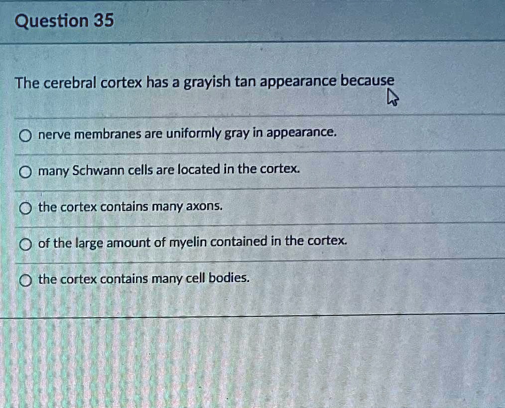 SOLVED: Question 35 The cerebral cortex has a grayish tan appearance ...
