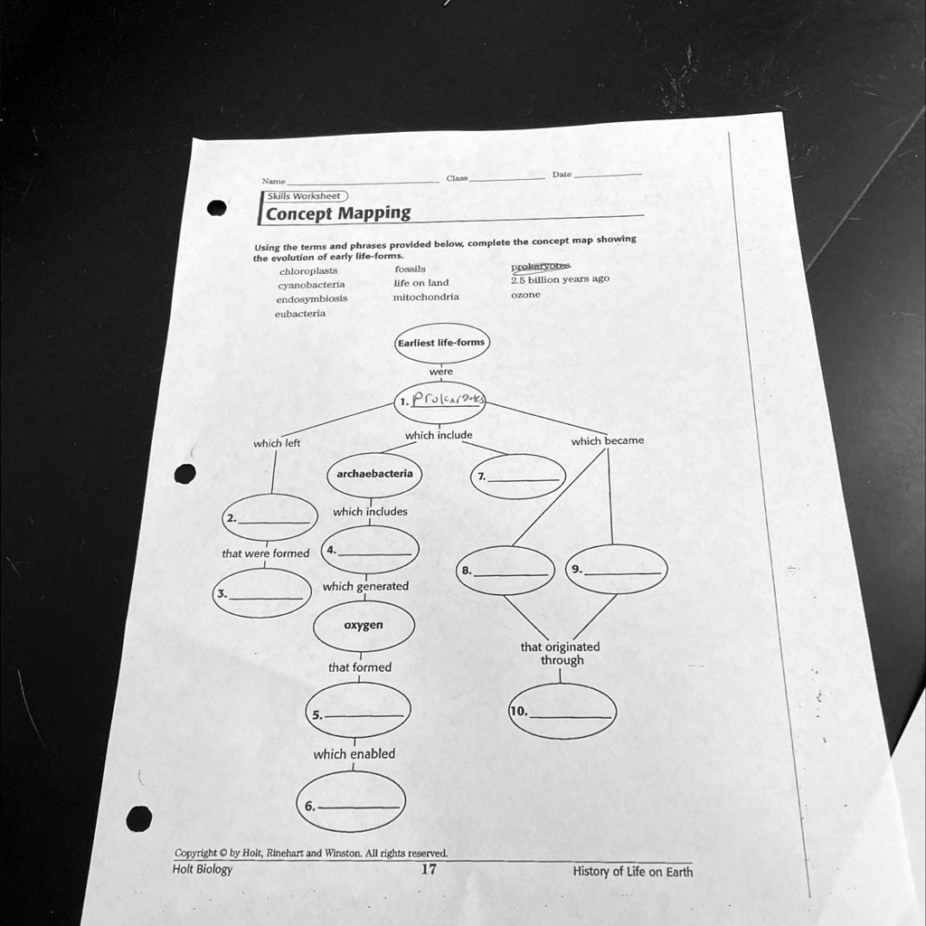 Name Skills Worksheet Concept Mapping Date Class Using the terms and phrases provided below ...
