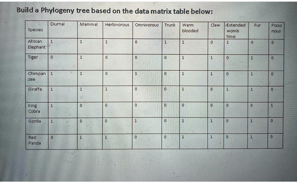 Build a Phylogeny tree based on the data matrix table below: Build a Phylogeny tree based on the ...