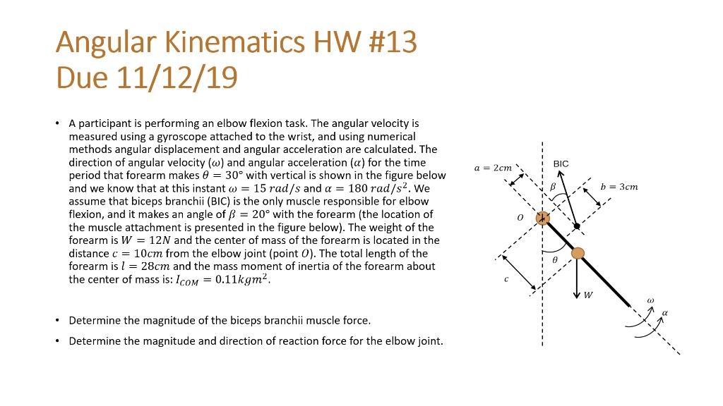 SOLVED: Angular Kinematics HW #13 Due 11/12/19 A participant is performing an elbow flexion task ...