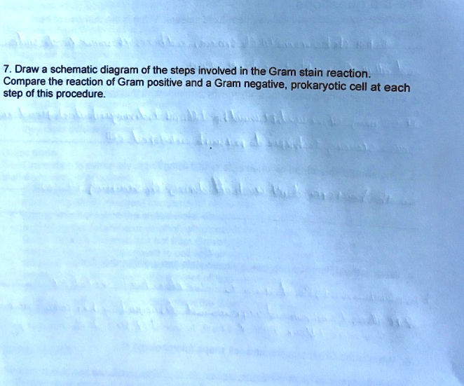 SOLVED: Draw schematic diagram of the steps involved in the Gram stain ...